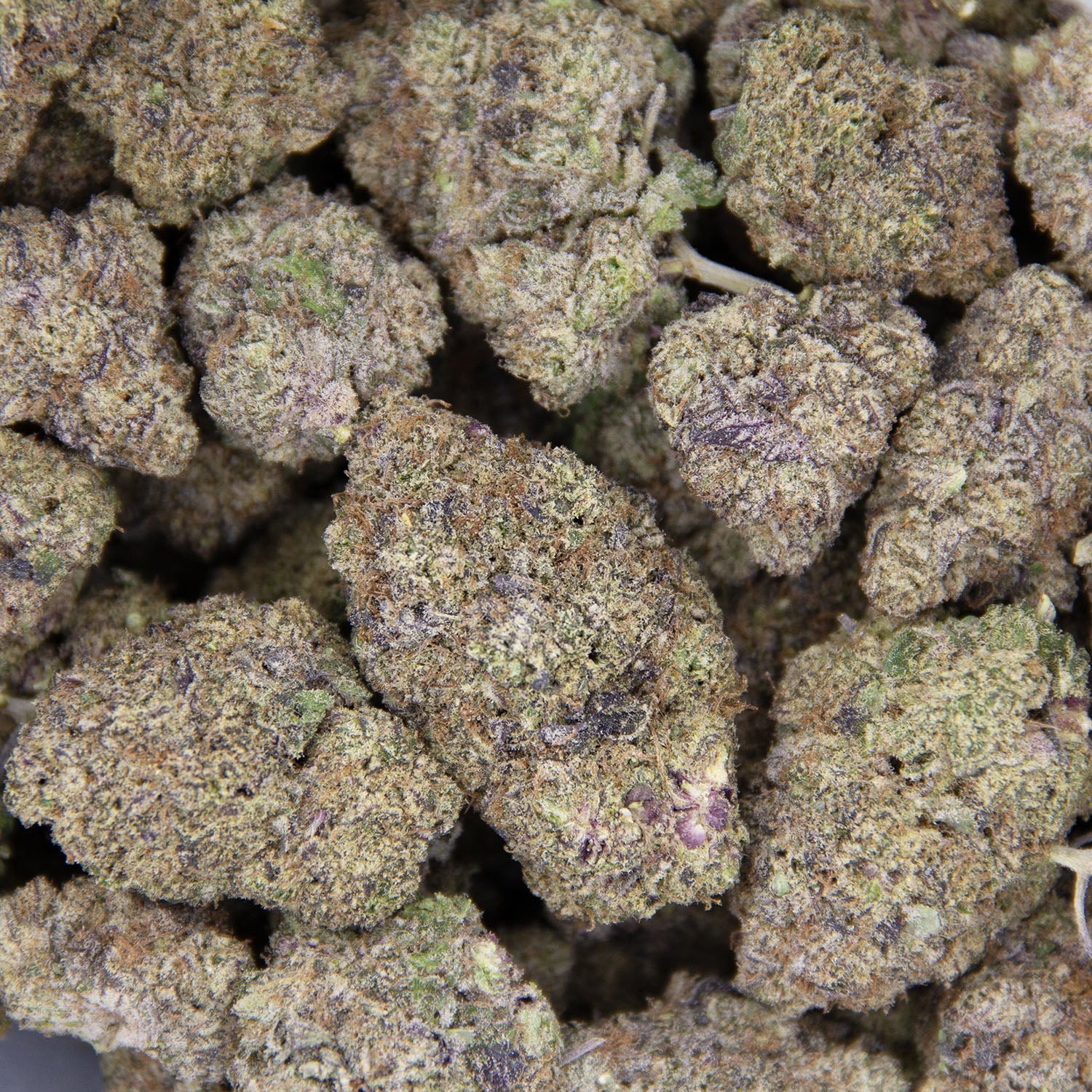 Cannabis Flower - Premium Strains & Buds | Scotia Chronic
